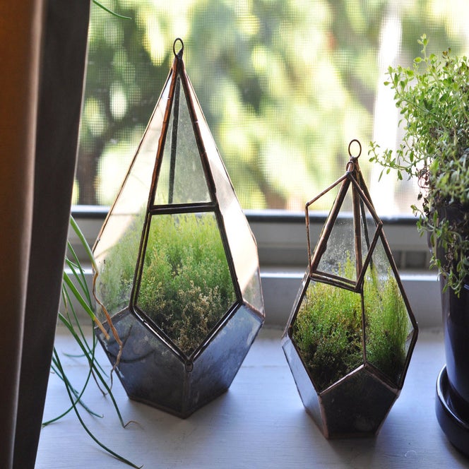 Teardrop Terrarium Kit, small hinged / ABJ glassworks