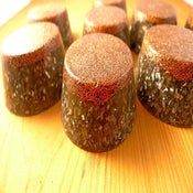 Orgonia — Current Collection