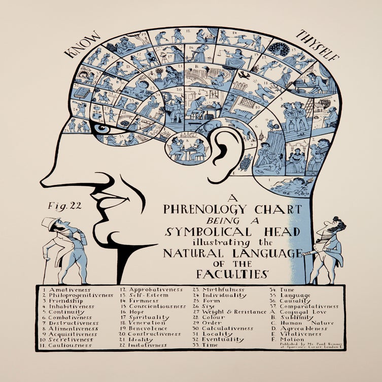 Paul Bommer — Phrenology Head